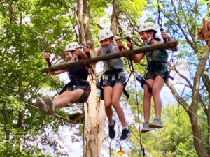 Aerial Adventures - Terrapin Adventures | Baltimore, Washington DC, MD